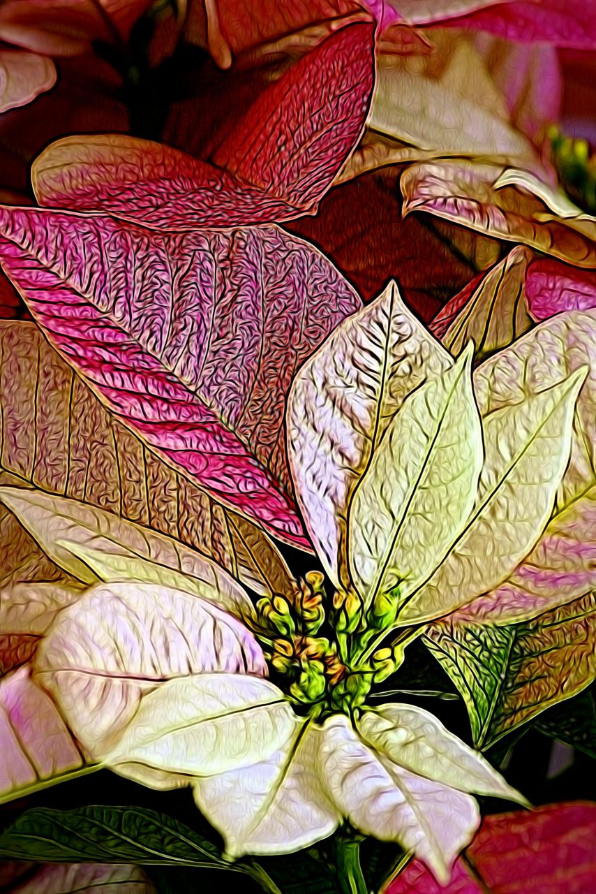 Art Feature: Nancy Shuler - Abstract Mag TV