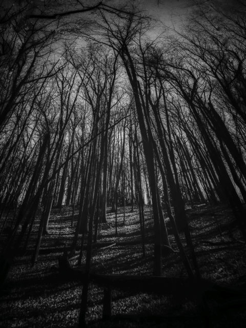 descent by John Sweet | Abstract Mag TV